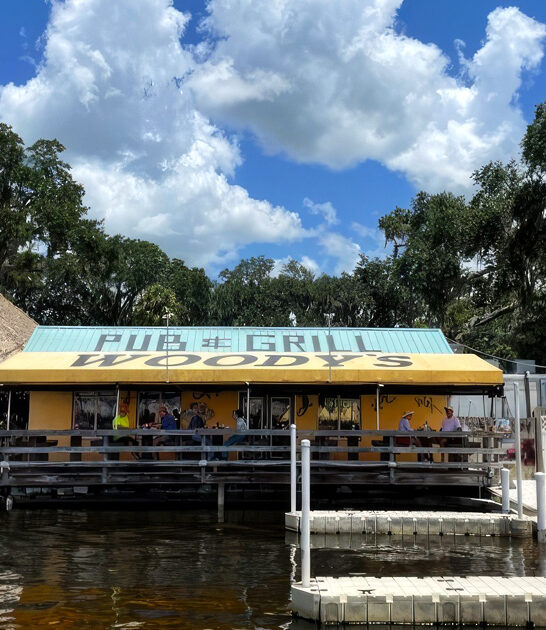 florida grouper bites good ftr