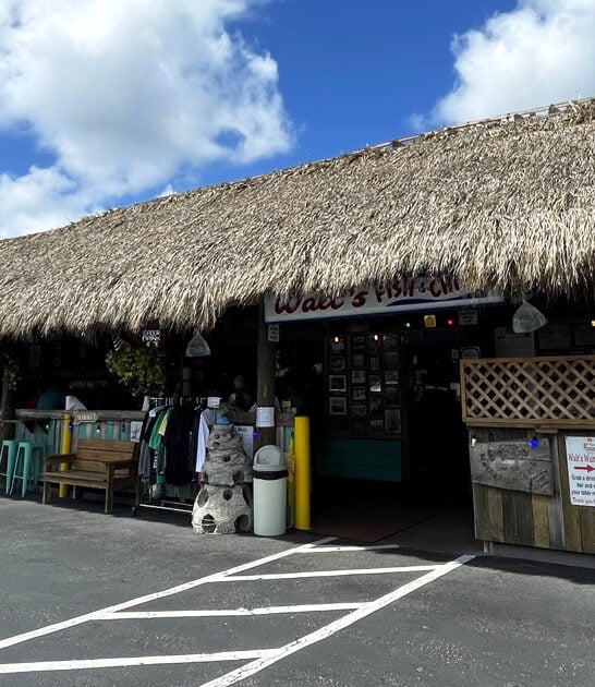 florida red snapper restaurant ftr