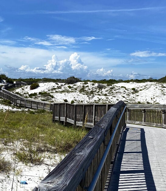 florida surreal worthy park ftr