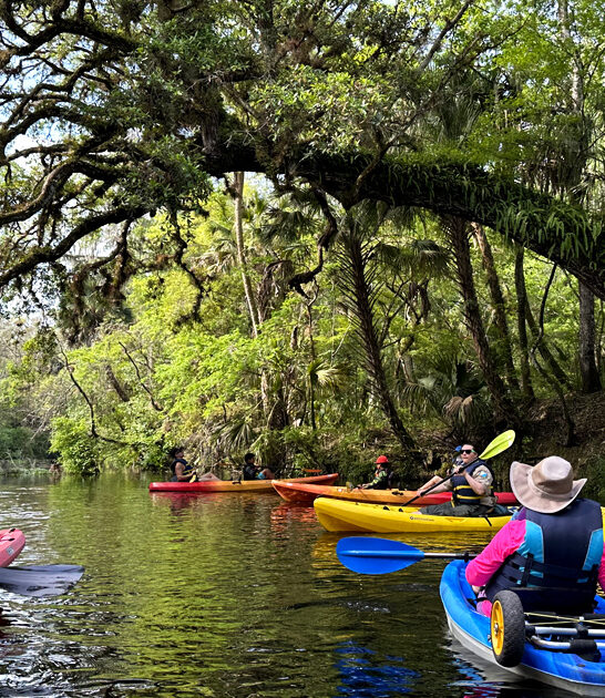 florida worthy postcard park ftr