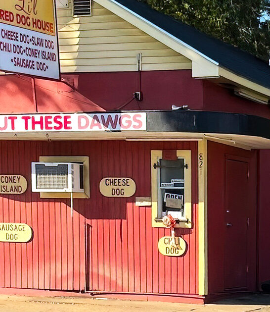 georgia hotdog heaven spot ftr