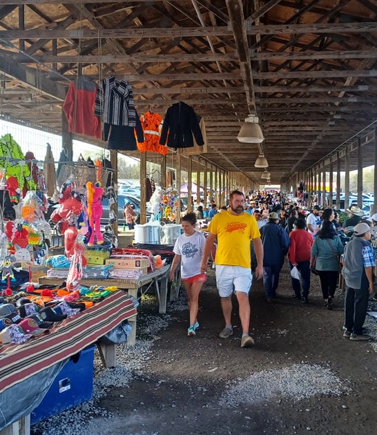 georgia rare treasure finds ftr