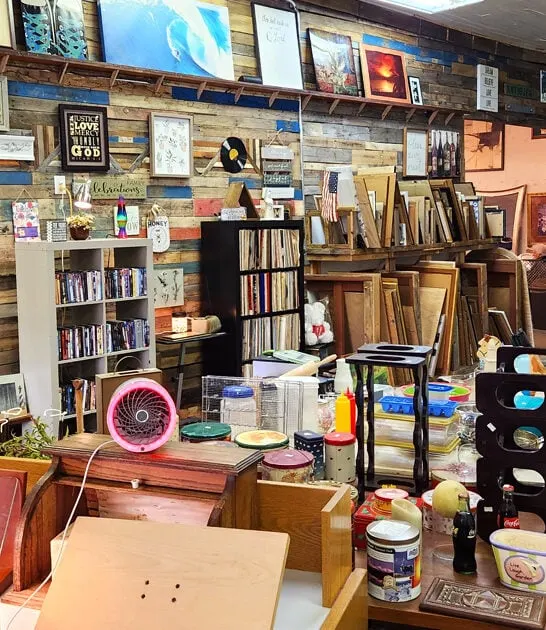 georgia thrift store gigantic ftr