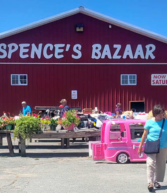 gigantic market flea delaware ftr