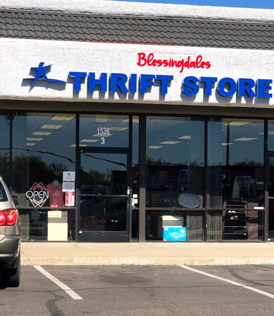 gigantic thrift arizona cart ftr