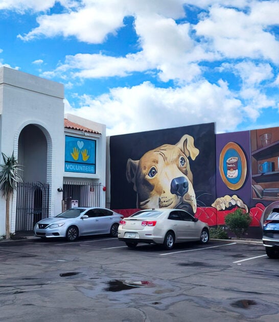 gigantic thrift arizona rethink ftr