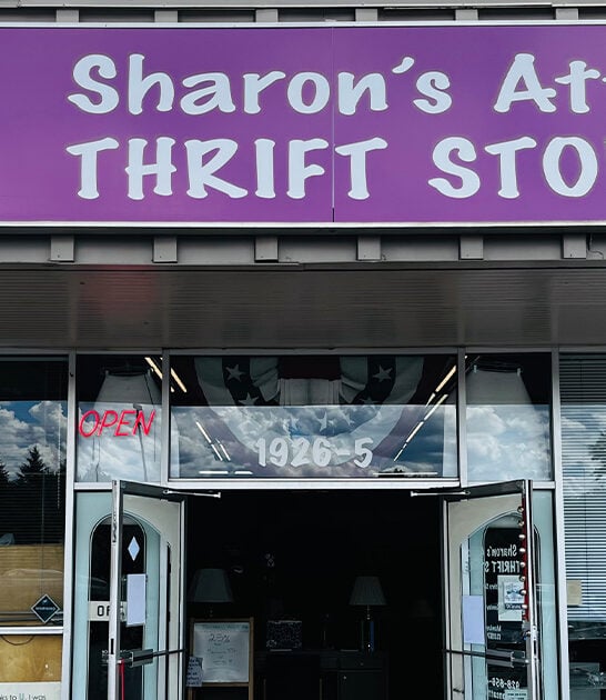gigantic thrift place arizona ftr