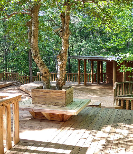 gorgeous south carolina trips ftr