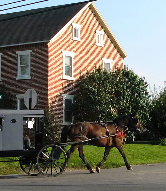 gorgeous towns pennsylvania heart ftr