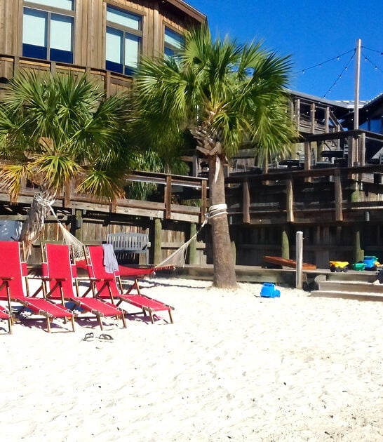 gulf grouper florida restaurant ftr