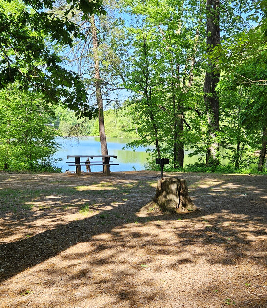 hidden south carolina stunning ftr