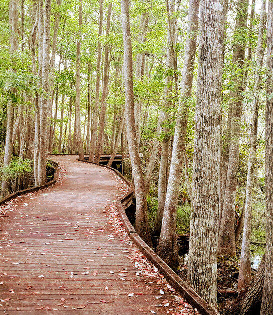 hidden state park georgia ftr
