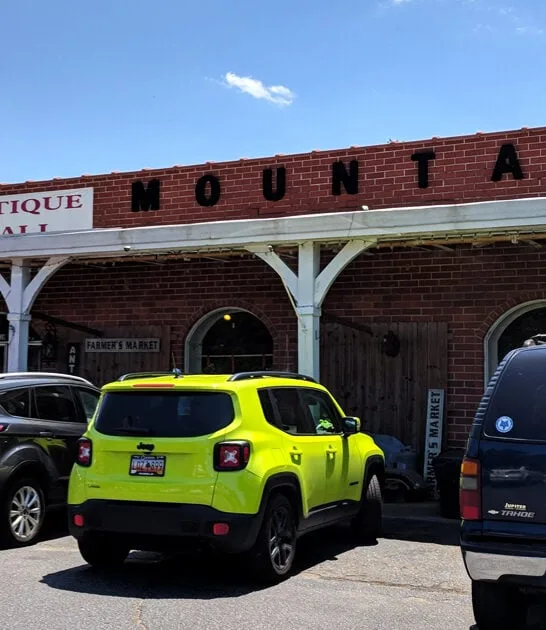 huge antique south carolina ftr
