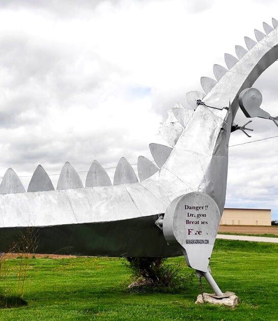 illinois dragon lair mystery ftr