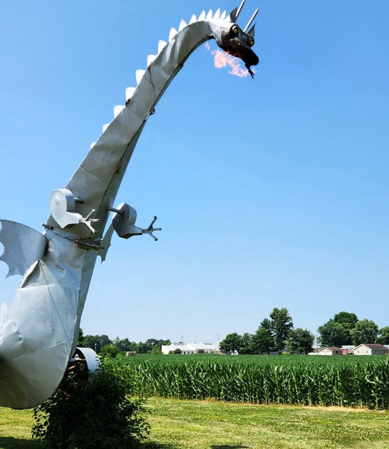 illinois secret dragon paradise ftr
