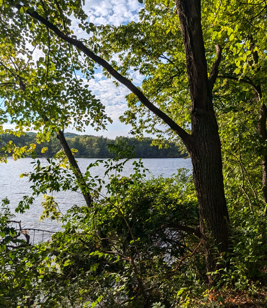 illinois underrated state park ftr