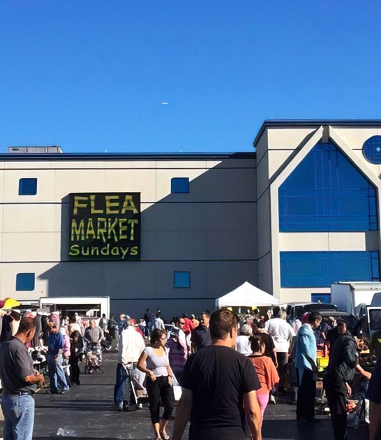 immense flea market illinois ftr