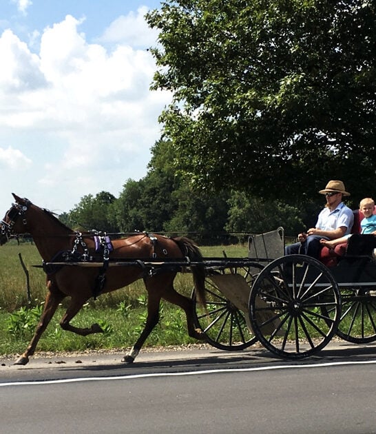 indiana amish town cuisine ftr