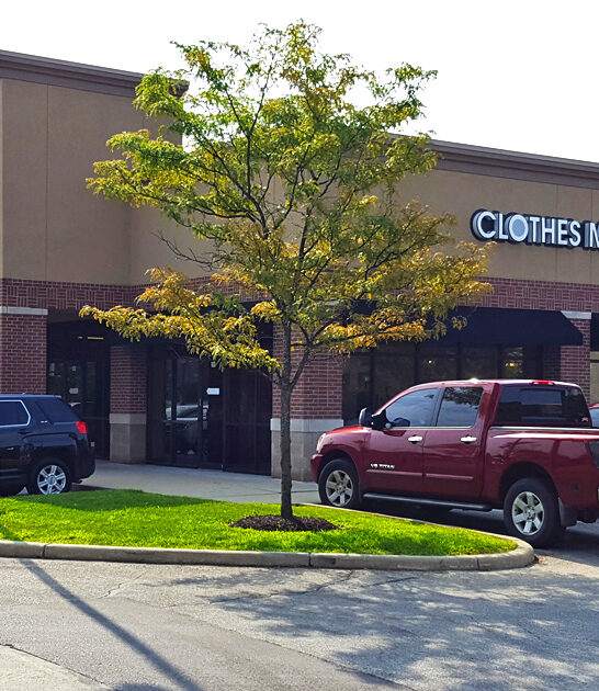indiana massive thrift journey ftr