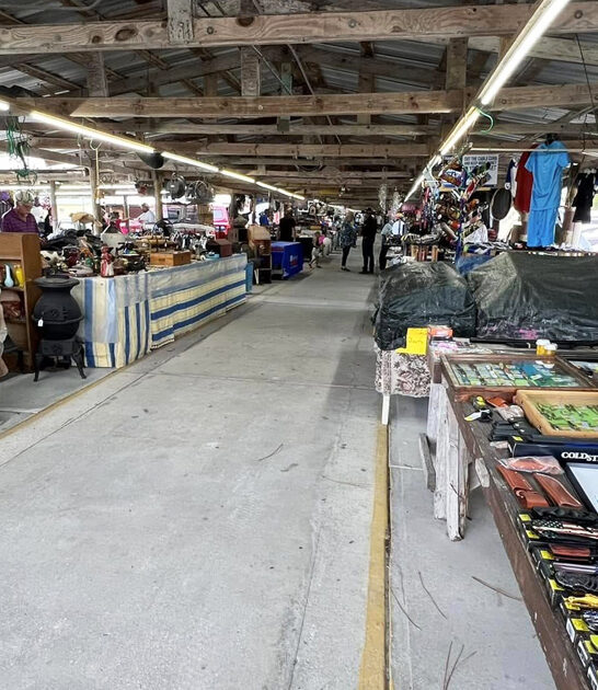 inexpensive florida flea market ftr