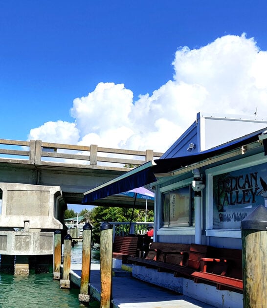 irresistible crab cakes florida ftr