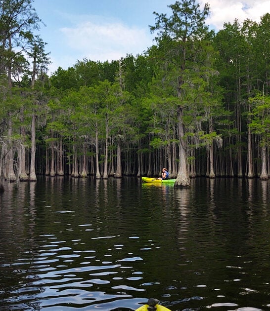 little known park georgia ftr