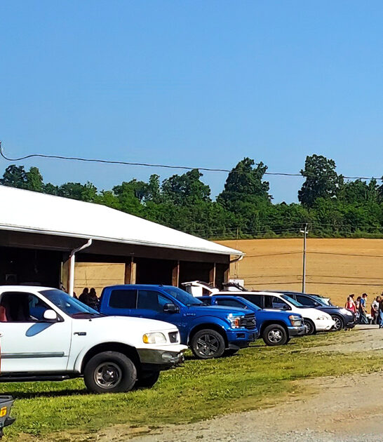 markets flea enormous tennessee ftr