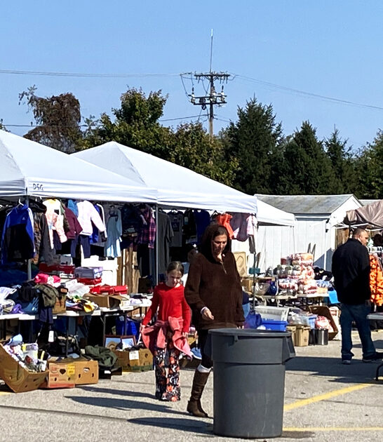 maryland markets massive flea ftr