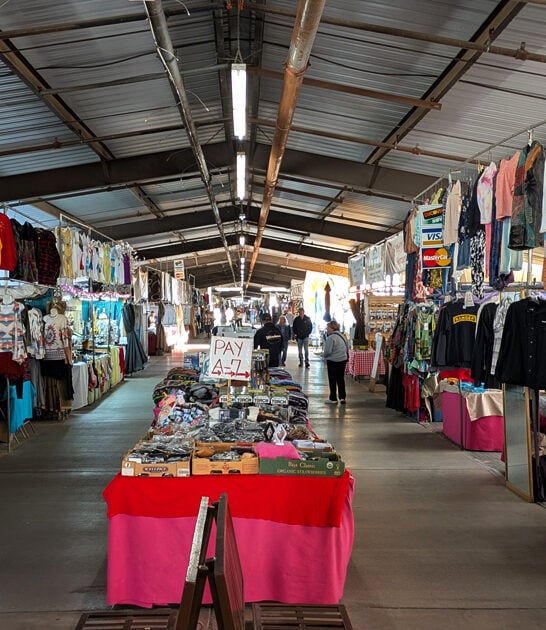 massive flea arizona spend ftr