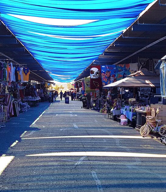 massive flea arizona wish ftr