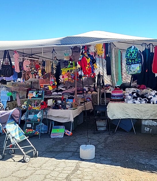 massive markets nevada drive ftr