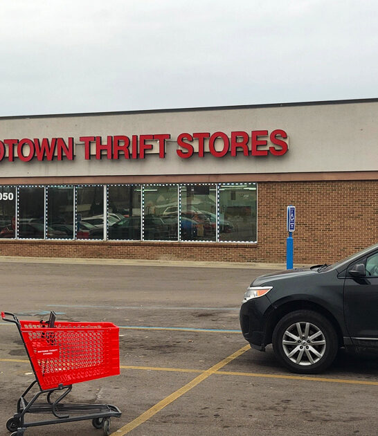 michigan eclectic thrift shop ftr