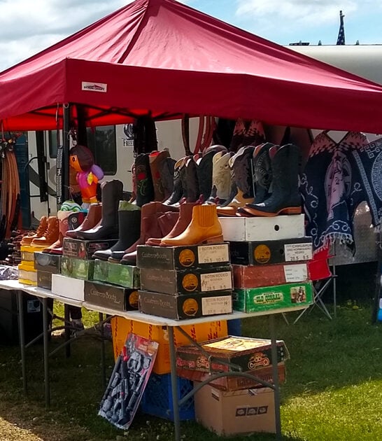 michigan massive flea affordable ftr