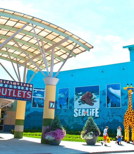 michigan massive outlet malls ftr