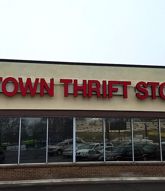 michigan secondhand treasure spot ftr