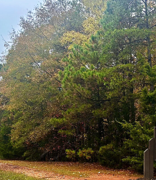 nature park south carolina ftr