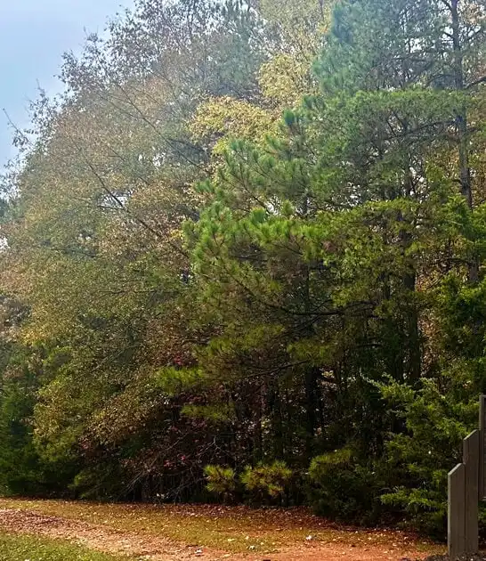 nature park south carolina ftr