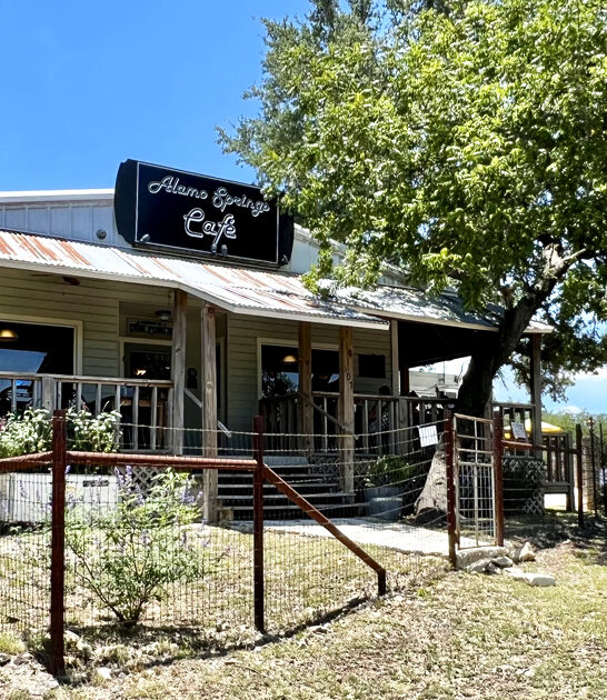onion rings cafe texas FTR
