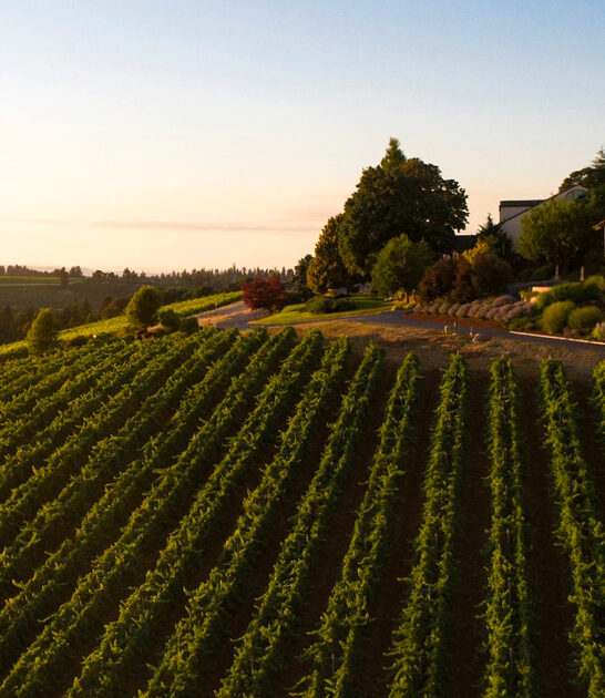 oregon must visit wineries ftr