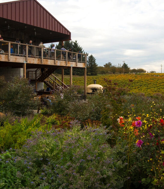 oregon underrated favorite wineries ftr