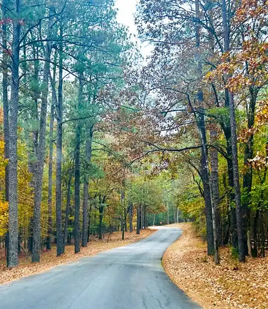 park stunning south carolina ftr