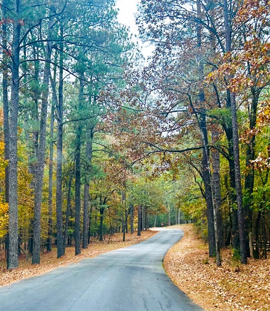 park underrated south carolina ftr