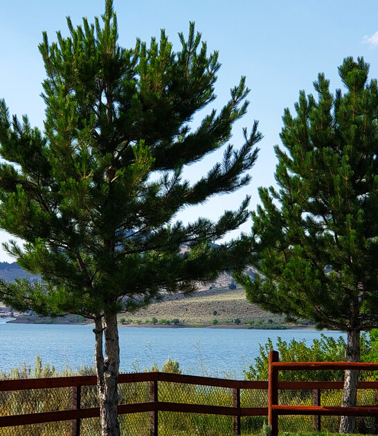 picturesque gem oregon park ftr