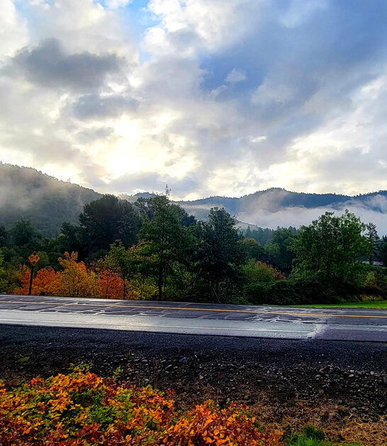 picturesque park state oregon ftr
