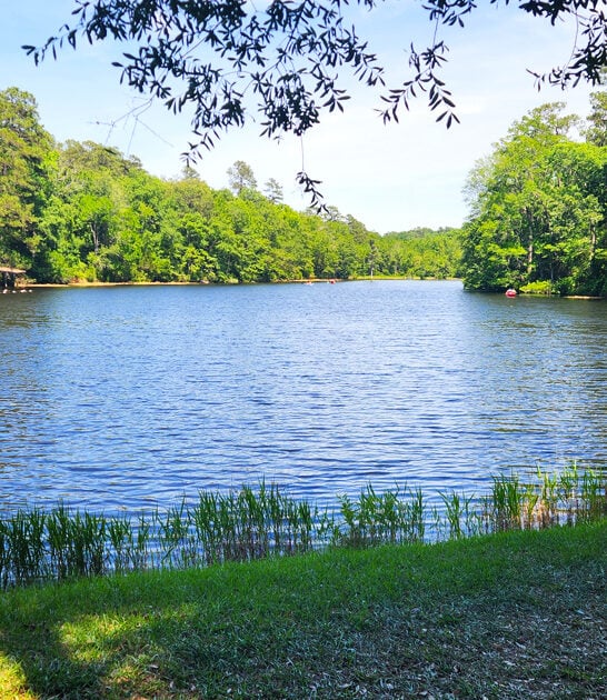 picturesque place south carolina ftr