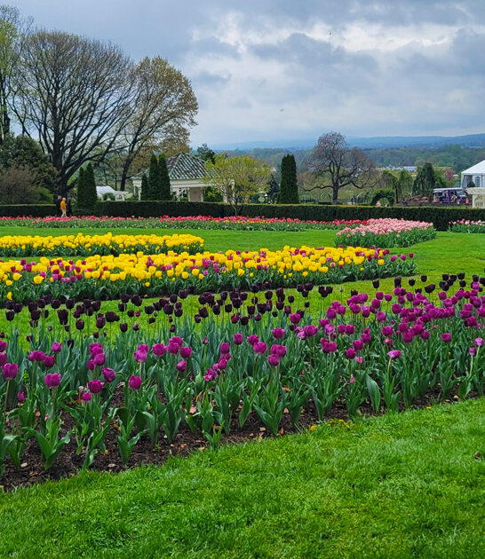 postcard garden pennsylvania disappear ftr