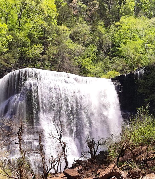 postcard park tennessee perfect ftr