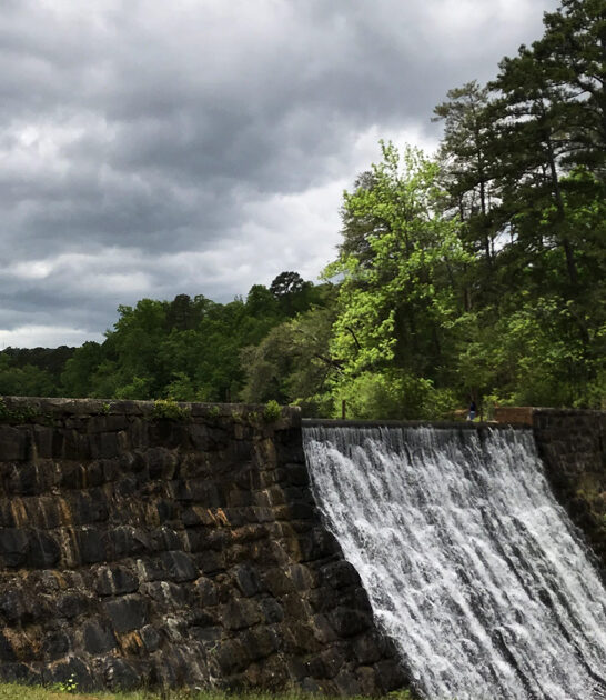 postcard south carolina wonders ftr