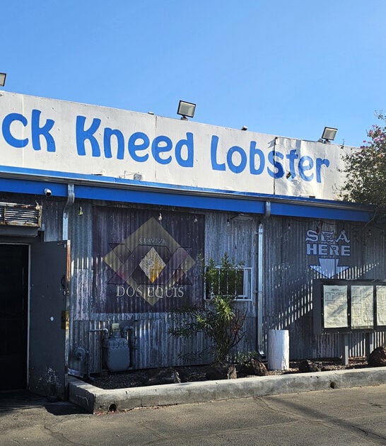 restaurant arizona seafood dreams FTR