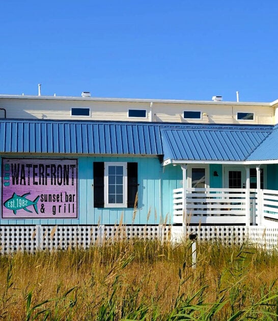 restaurant north carolina seafood FTR